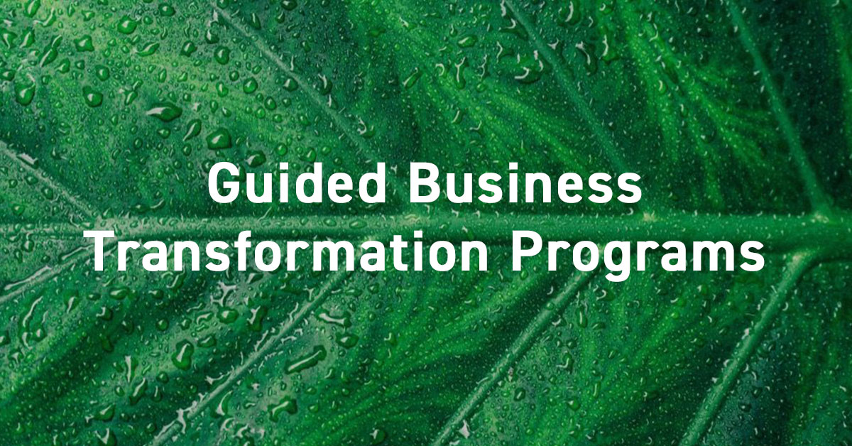 GUIDED PROGRAMS | Krystle Clear Solutions