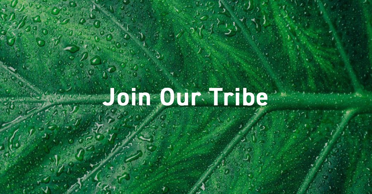 Join Our Tribe | Krystle Clear Solutions