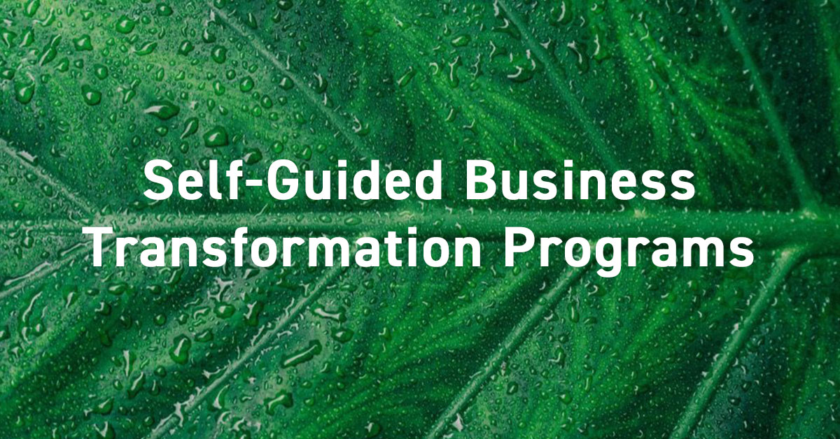 SELF-GUIDED PROGRAMS | Krystle Clear Solutions